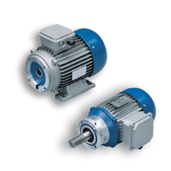 Carpanelli Standard AC Motors | UK Partner | gapp.co.uk